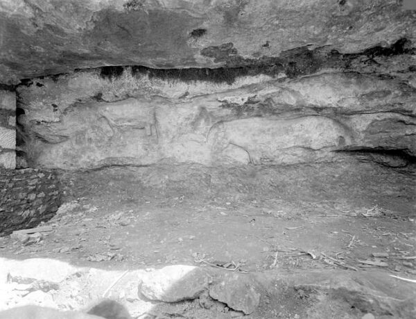 Abri de Cap Blanc (Cap Blanc Rock Shelter) | The Brain Chamber