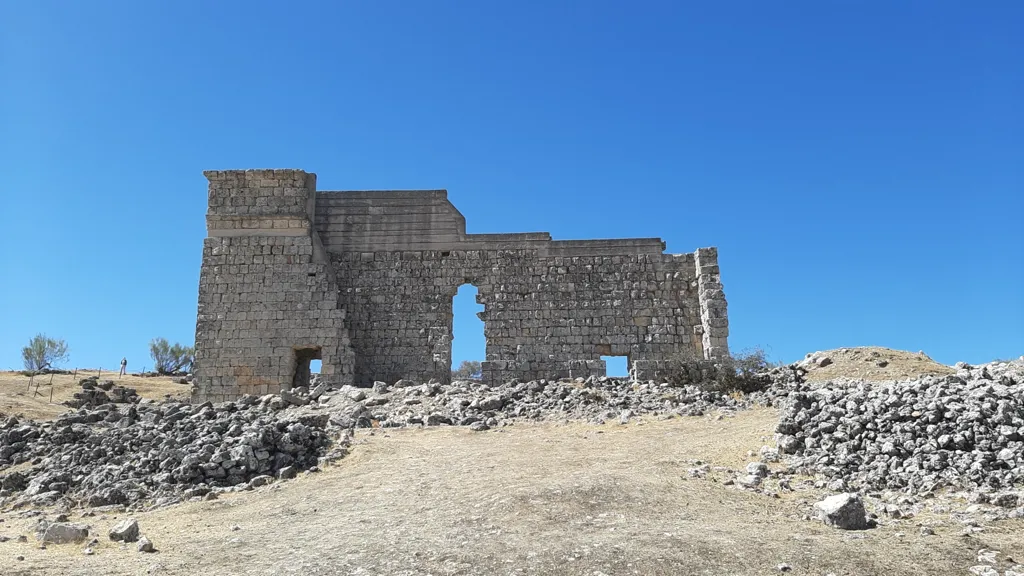 Acinipo | The Brain Chamber