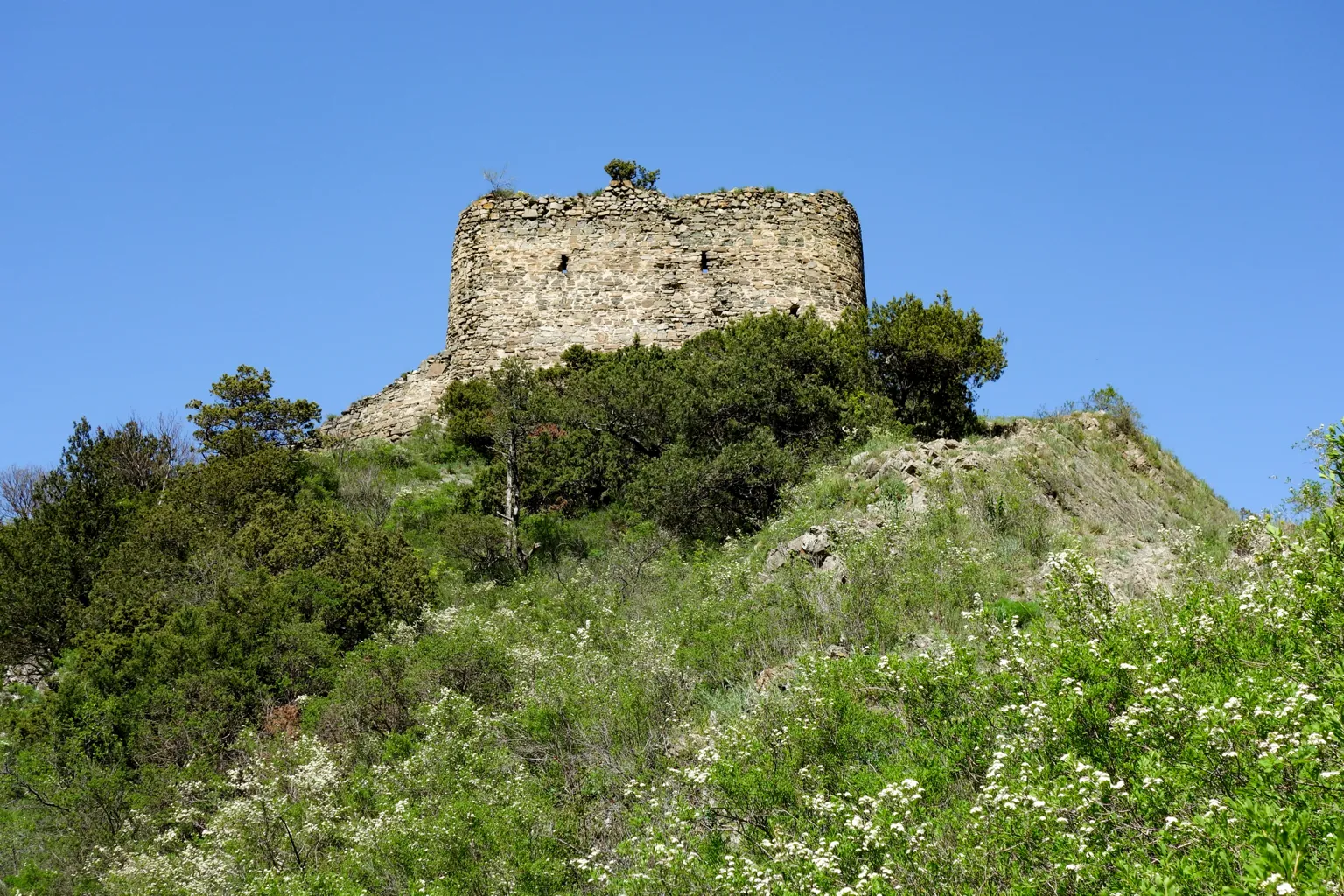 Ancient Armazi | The Brain Chamber