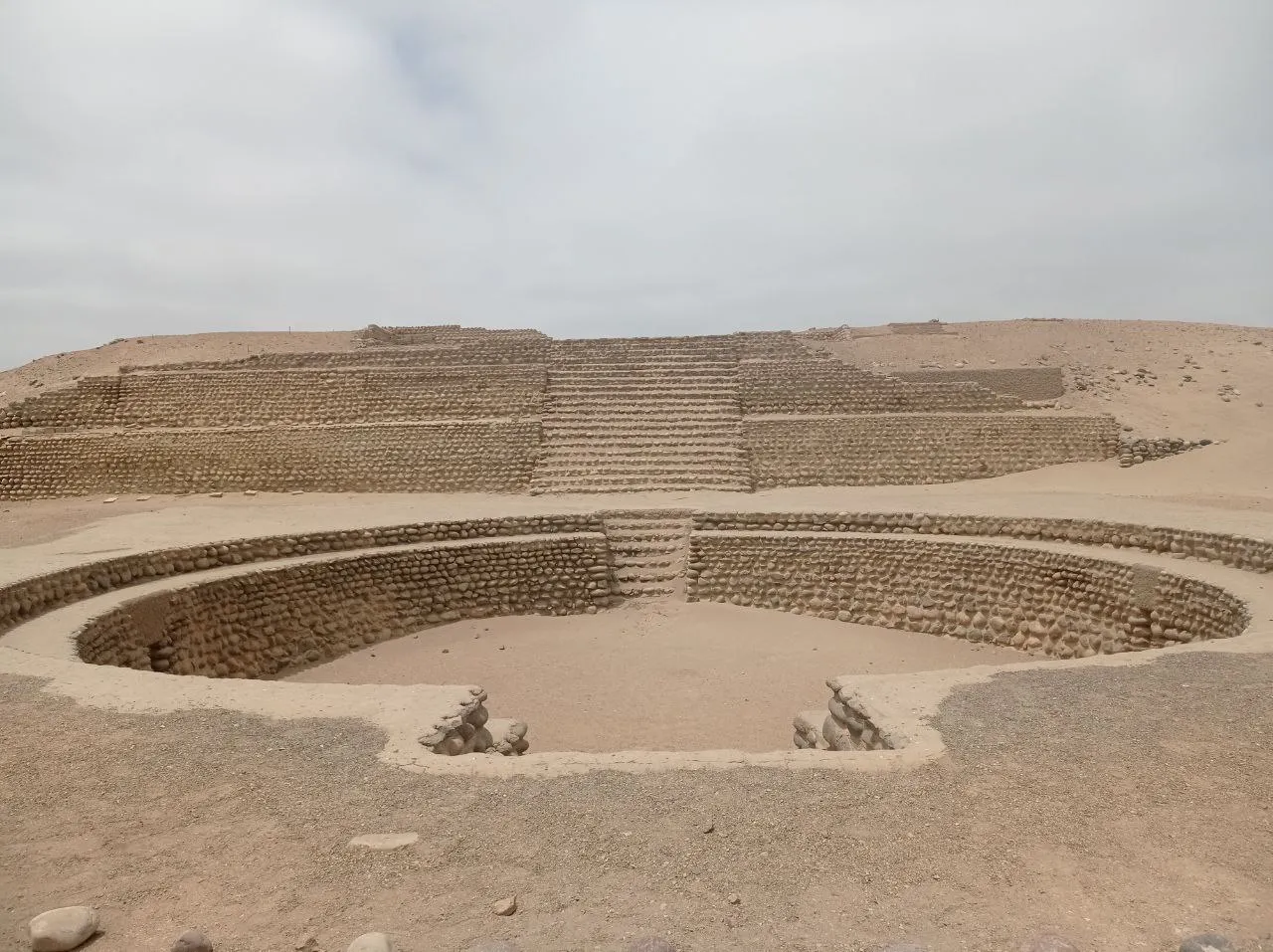 Bandurria Peru | The Brain Chamber
