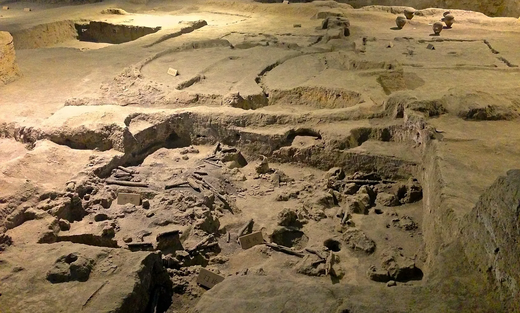 Banpo | The Brain Chamber