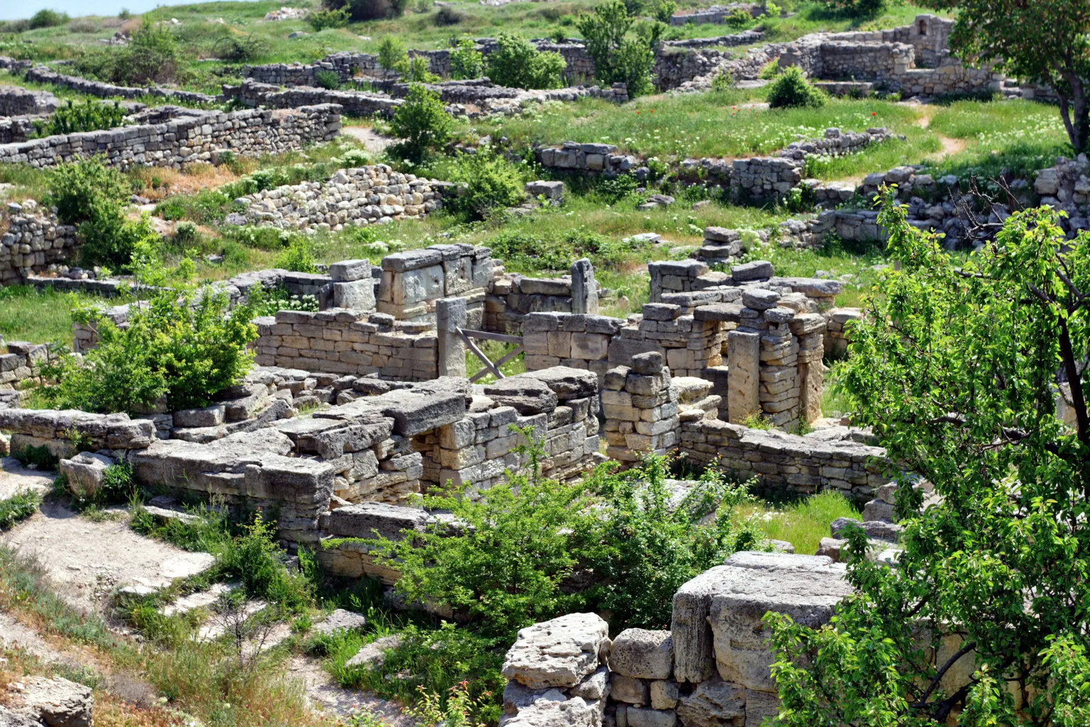 Chersonesus | The Brain Chamber