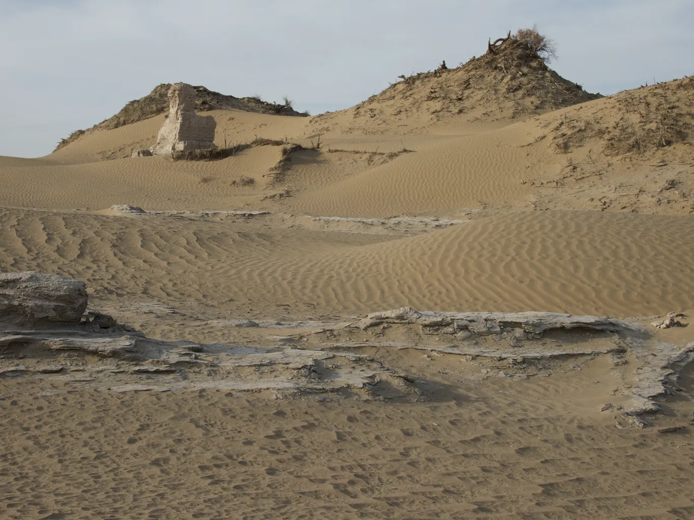 Niya ruins | The Brain Chamber