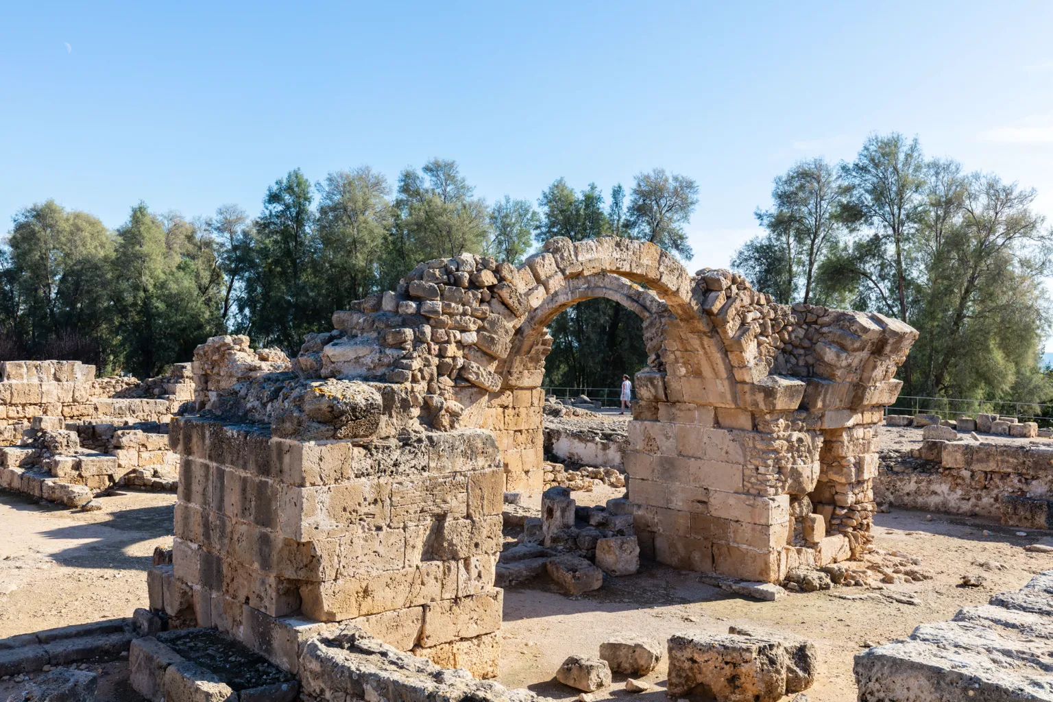 Saranta Kolones | The Brain Chamber