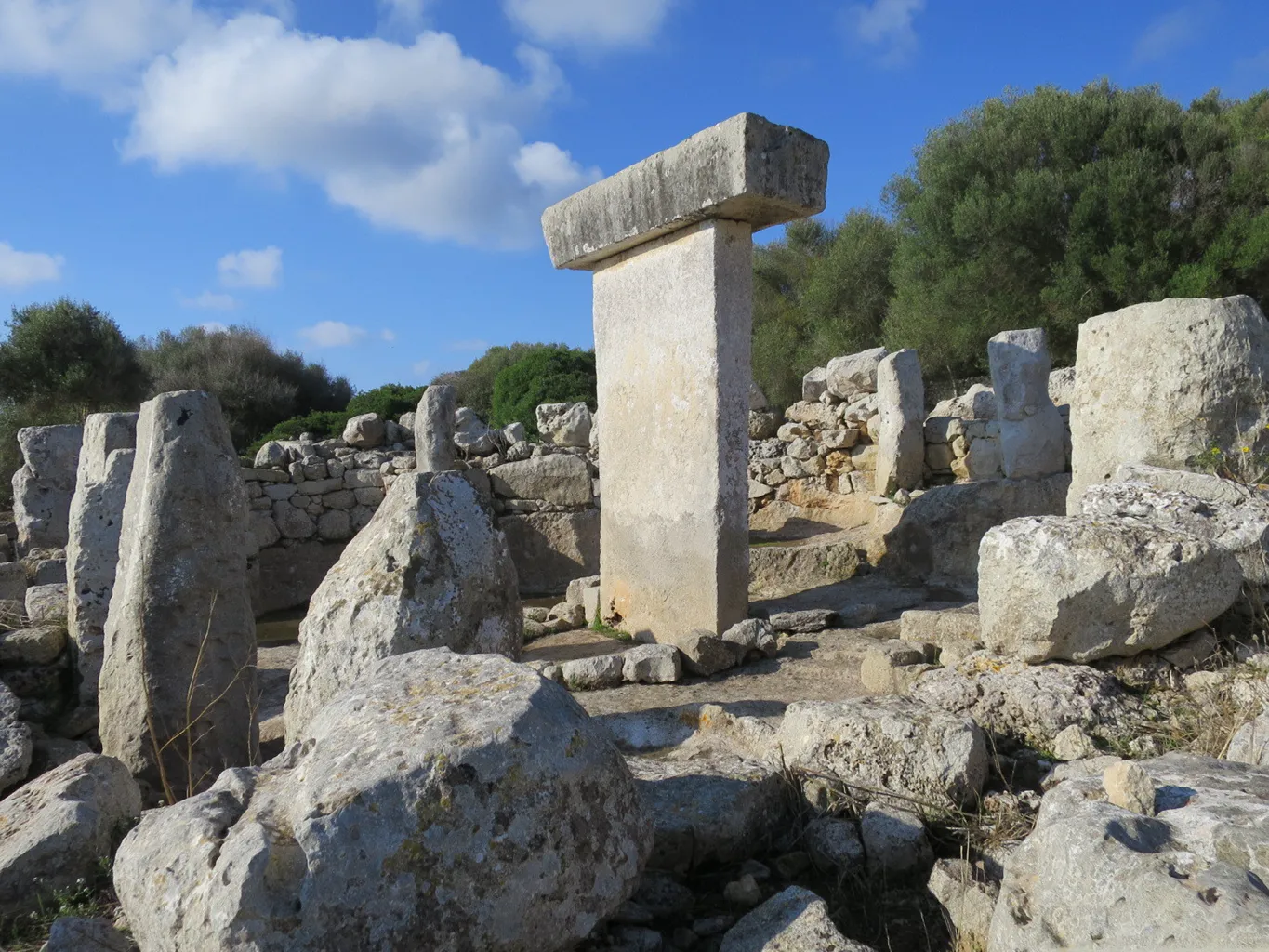 Torralba d'en Salort | The Brain Chamber