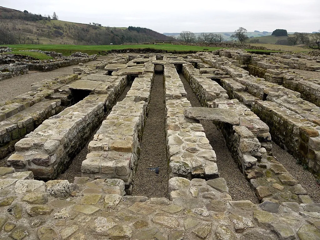 Vindolanda | The Brain Chamber