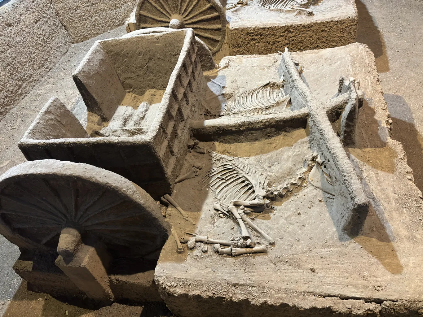 Yinxu | The Brain Chamber