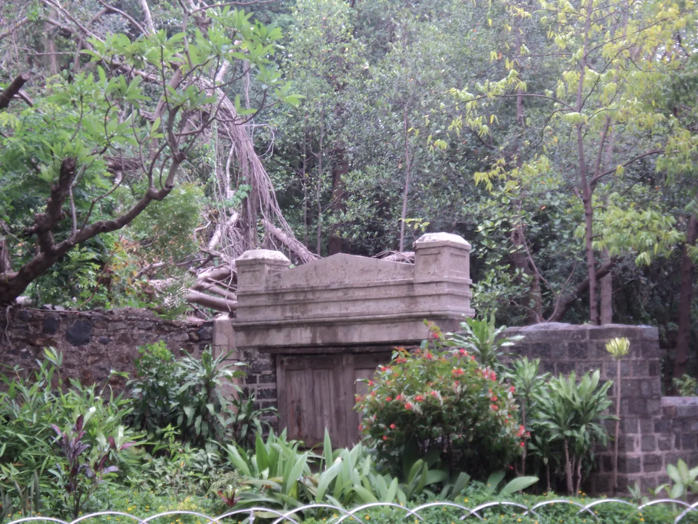 Mumbai's tower of silence | The Brain Chamber