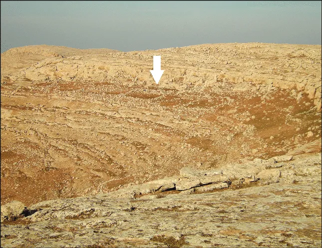 Harbetsuvan Tepe | The Brain Chamber