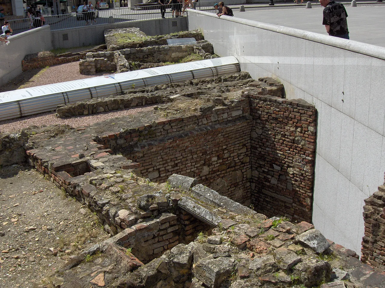 Vindobona | The Brain Chamber